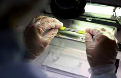 Corporate Overview | Biosensors International Ltd