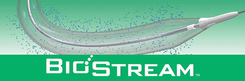 Products Balloons | Biosensors International Ltd