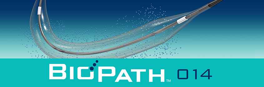 Products Balloons | Biosensors International Ltd