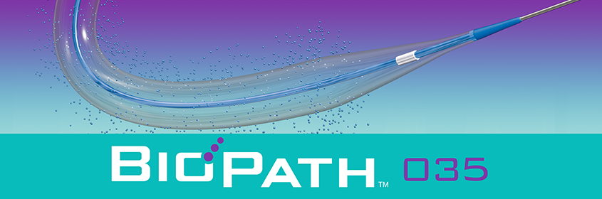 Products Balloons | Biosensors International Ltd